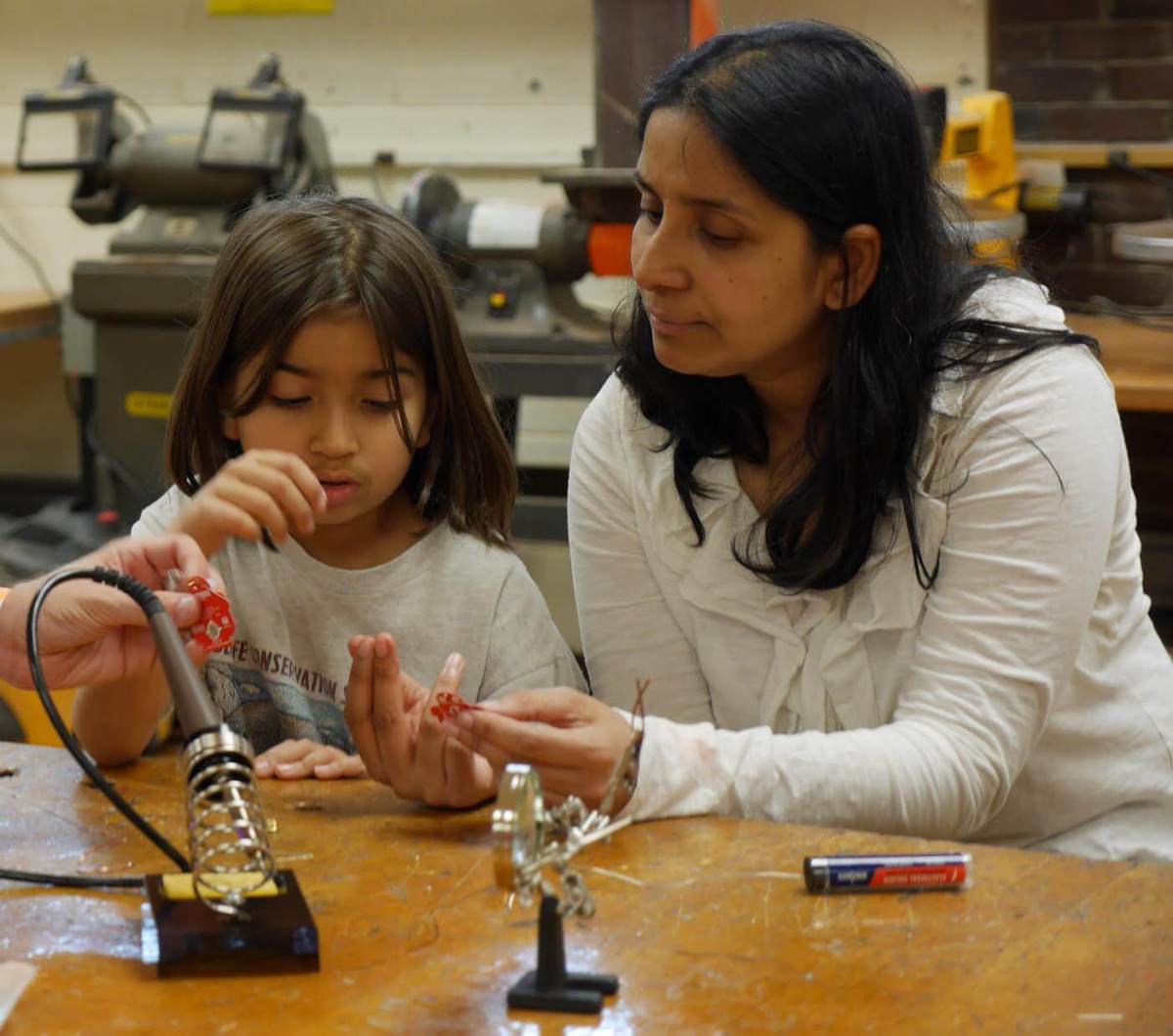 STEM Alliance: Growing the Next Generation of STEM Leaders ...