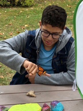 Therapeutic Education and Support in a Nature-Based Setting at Green ...