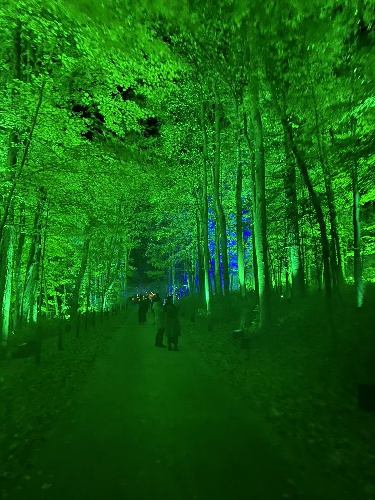 First Look Harry Potter Forbidden Forest Experience – Westchester Family First Look Harry Potter Forbidden Forest Experience – Westchester Family