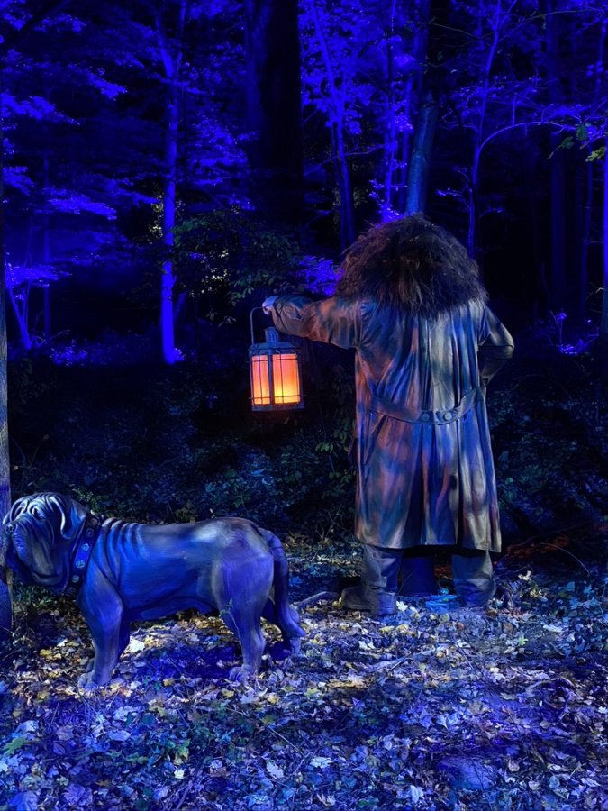 First Look Harry Potter Forbidden Forest Experience – Westchester Family First Look Harry Potter Forbidden Forest Experience – Westchester Family