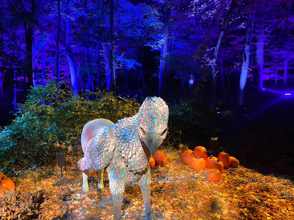 First Look Harry Potter Forbidden Forest Experience – Westchester Family First Look Harry Potter Forbidden Forest Experience – Westchester Family