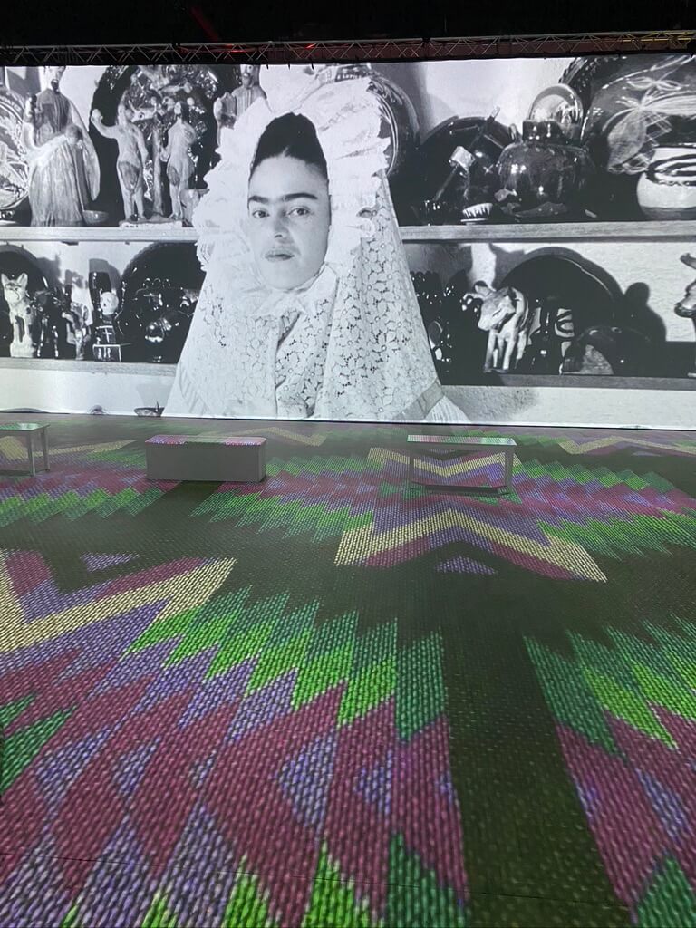 Frida Kahlo the Immersive Biography – Westchester Family