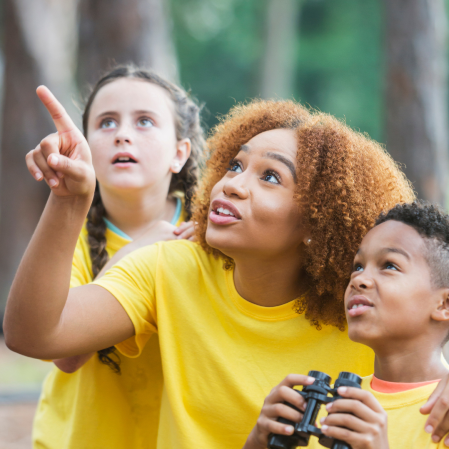Westchester County’s Nature Camps – Westchester Family