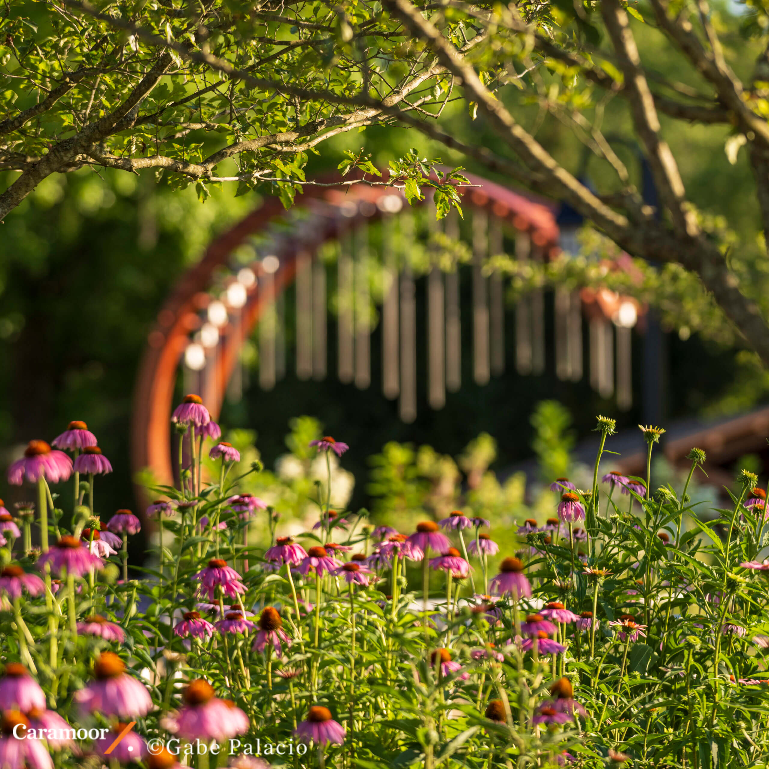 Garden Conservancy Open Days Westchester | Fasci Garden