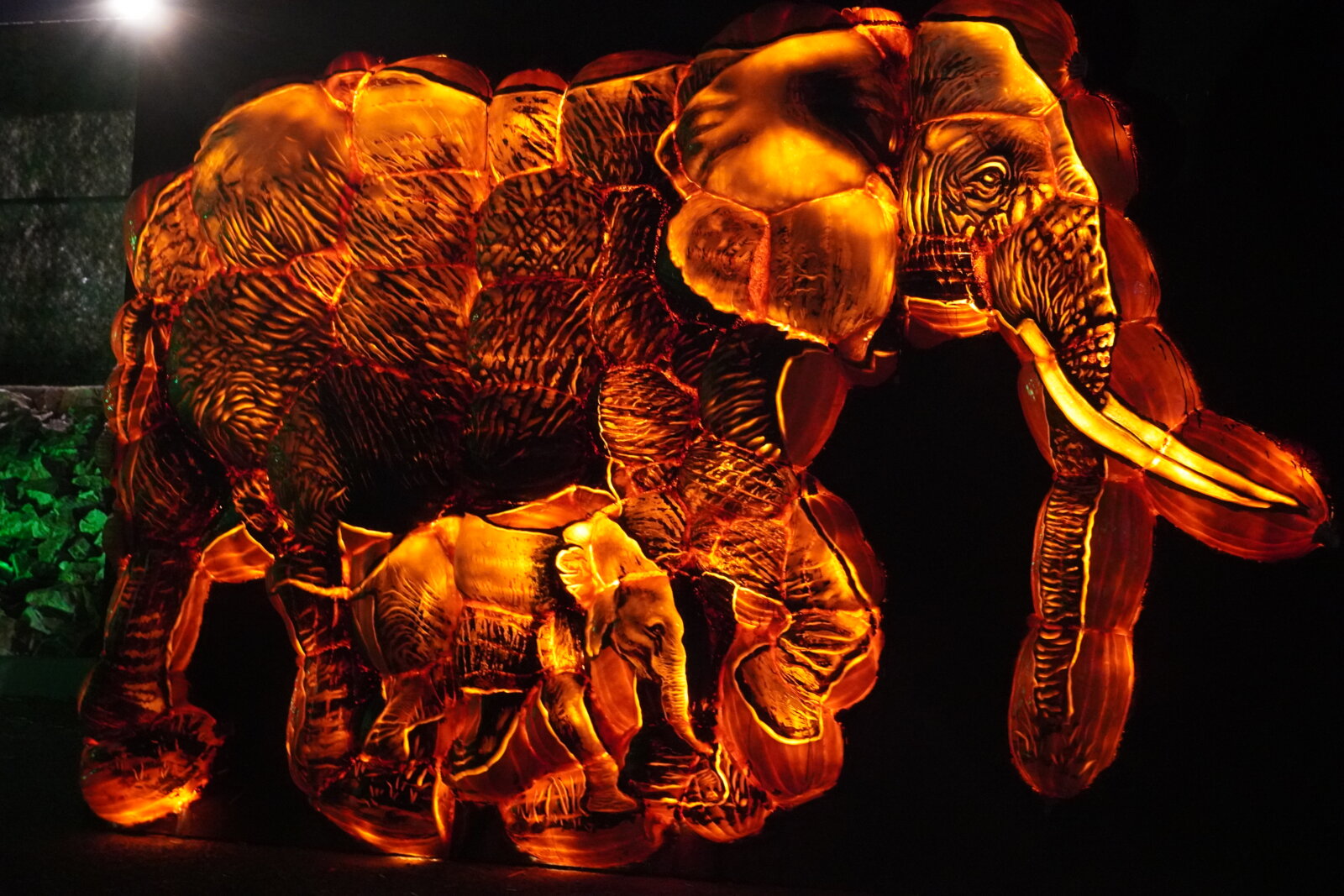 Pumpkin World – Westchester Family